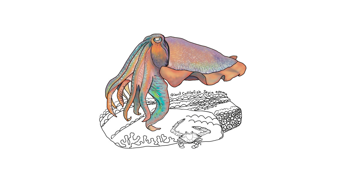 Giant Cuttlefish Doodle-white - Cuttlefish - T-Shirt | TeePublic