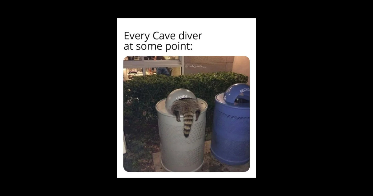 Step-Cave Diver: Every Diver's Moment Meme - Meme - Sticker | TeePublic