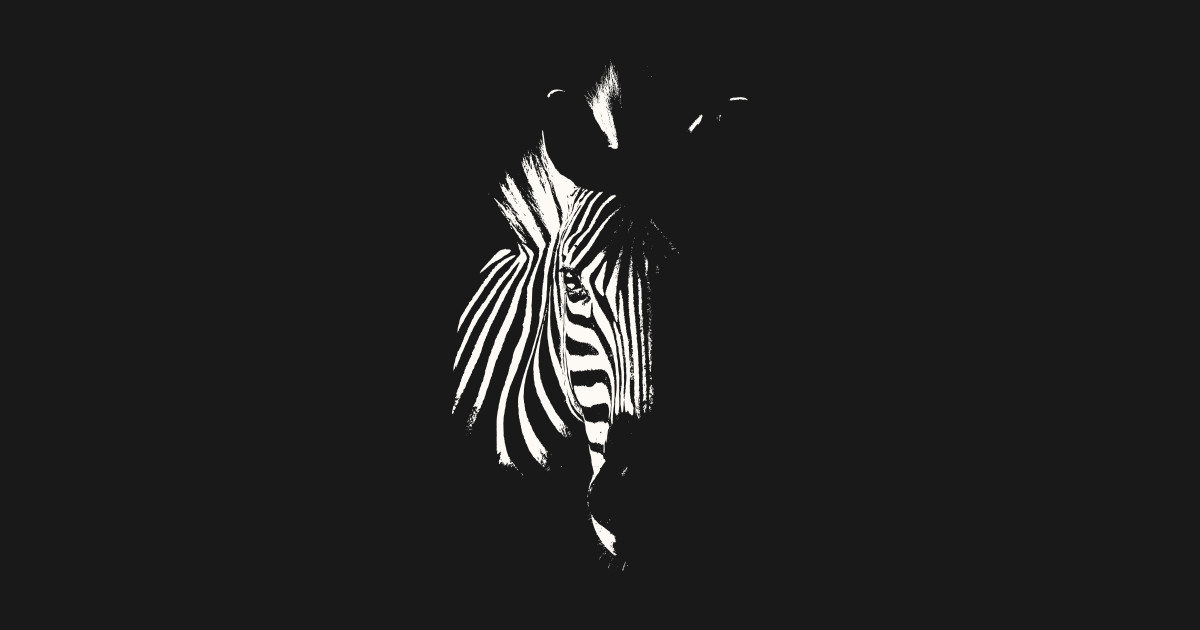 Zebra Portrait for Zebra Fans - Zebra - T-Shirt | TeePublic