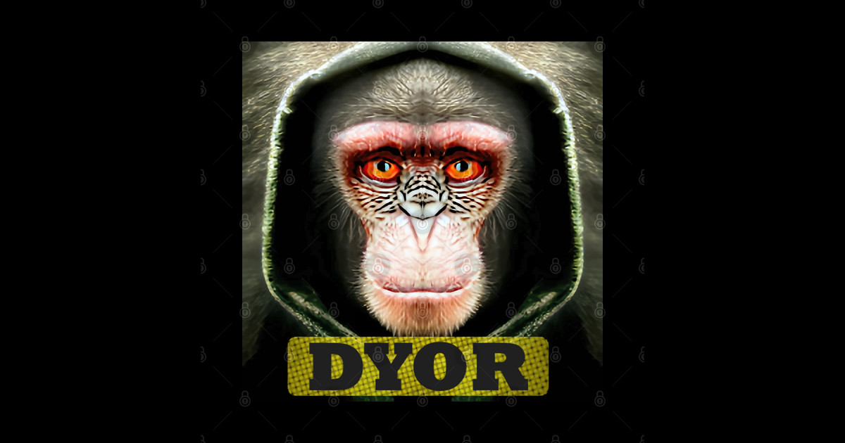 Funny Monkey Cute Apes Animals memes - Funny Animals Monkeys Apes ...