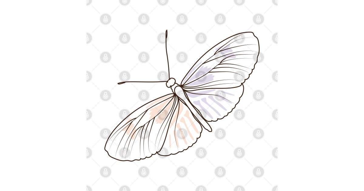 Butterfly Line Art - Butterfly - T-Shirt | TeePublic