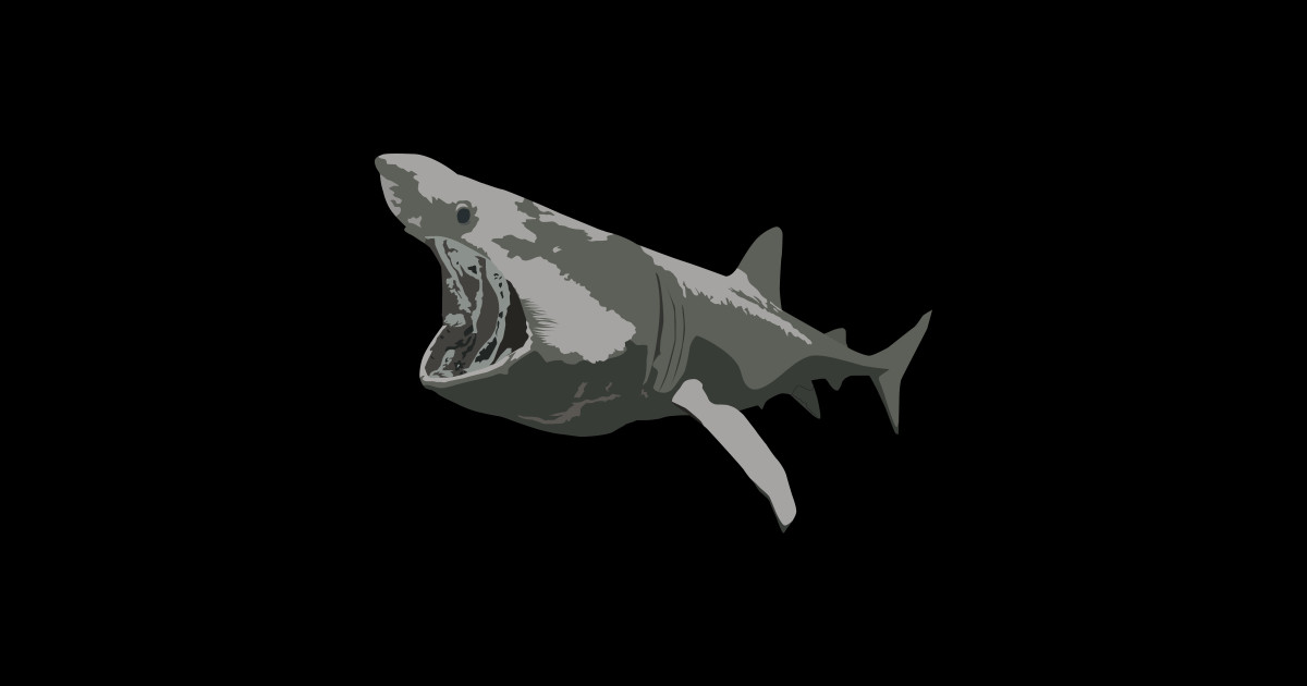 Basking shark - Basking Shark - Sticker | TeePublic