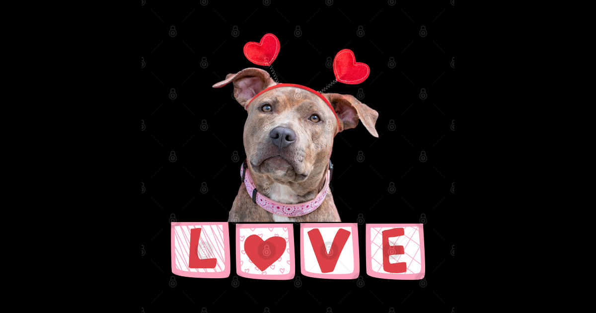 Pitbull Valentine - Pitbull Lover Gift - Sticker | TeePublic