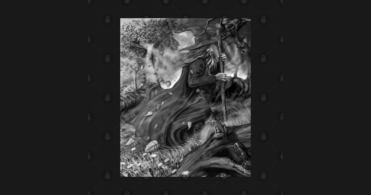 The Wizards Path - Wizard - T-Shirt | TeePublic