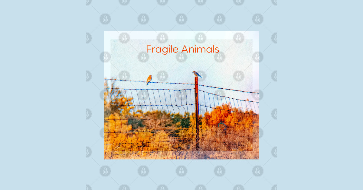 FRAGILE ANIMALS - Fragile Animals - T-Shirt | TeePublic