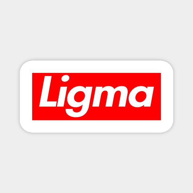 Ligma Box Logo - Ligma - Magnet | TeePublic