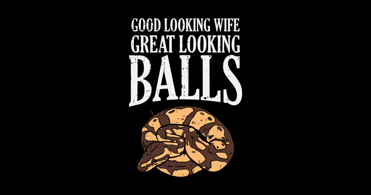 Great Looking Ball Pythons - Ball Python - Sticker | TeePublic