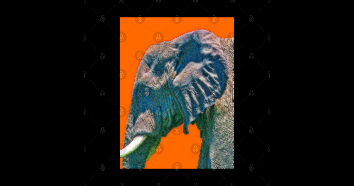 Elephant - Elephant - Sticker | TeePublic