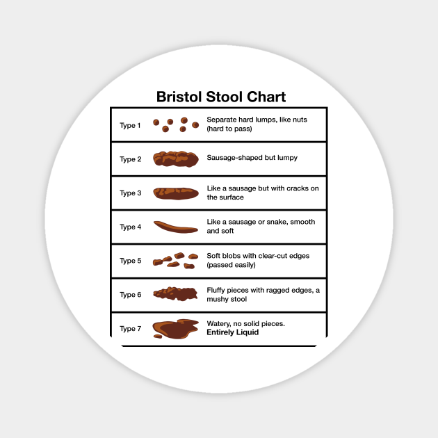 Bristol Stool Chart - Bristol Stool Chart - Magnet | TeePublic