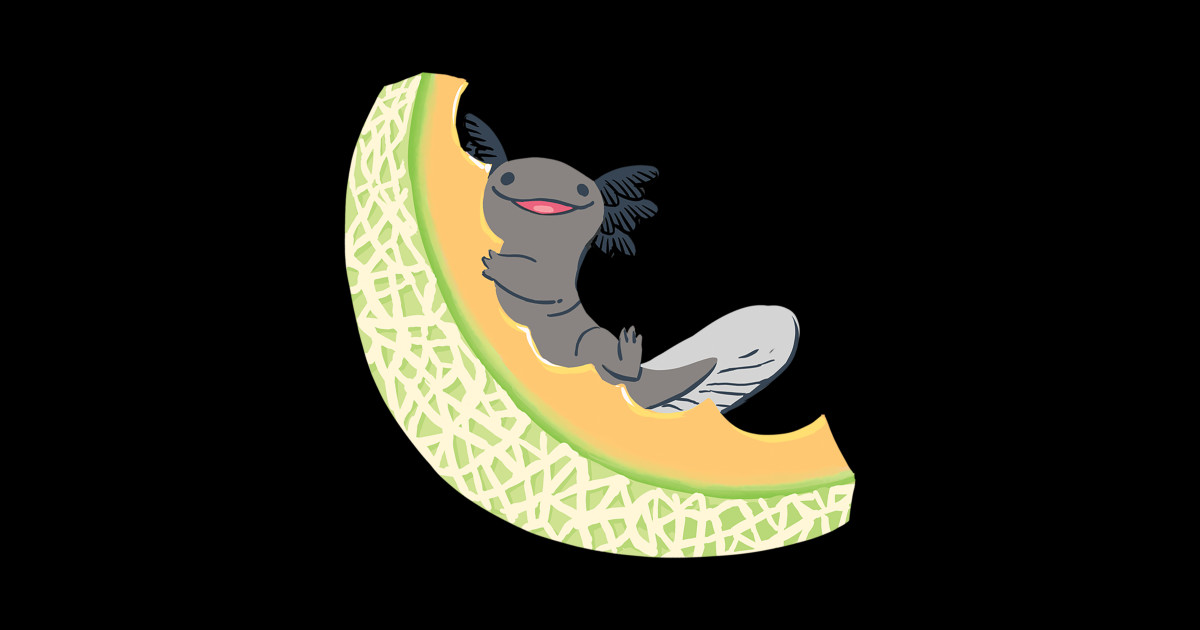 Snaxy Rox - Axolotl - Magnet | TeePublic