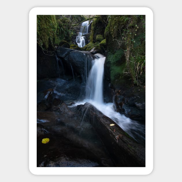 Woodland Cascade - Woodland - Sticker | TeePublic