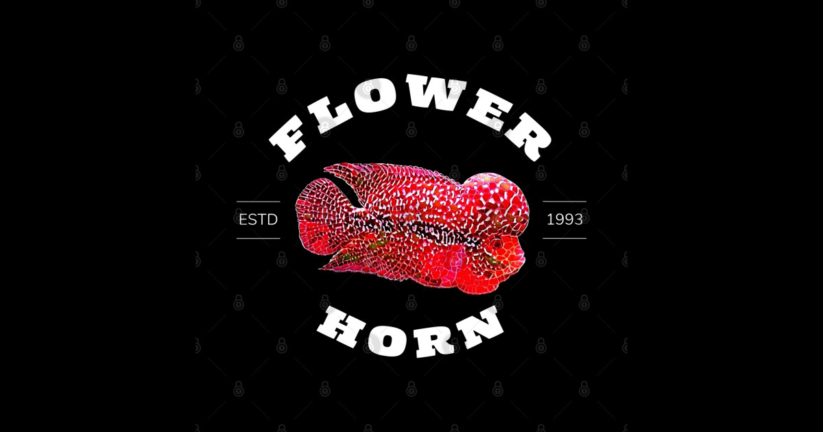 Luohan Flowerhorn Fish Cichlid estd in 1993 - Aquarium - Sticker ...
