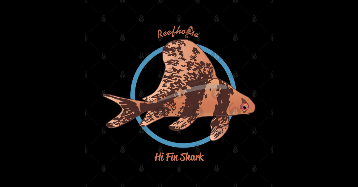 Hi Fin Shark - Reefhorse - Sticker | TeePublic