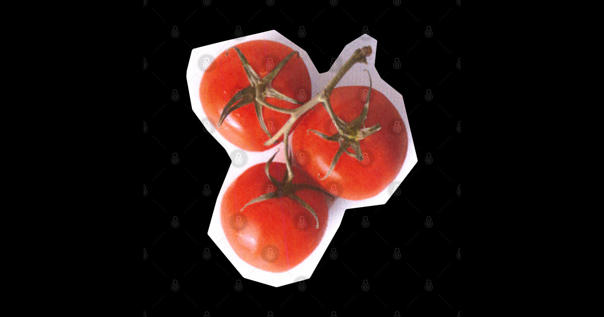 Tomato Fruits Photo - Tomatoes - Sticker | TeePublic