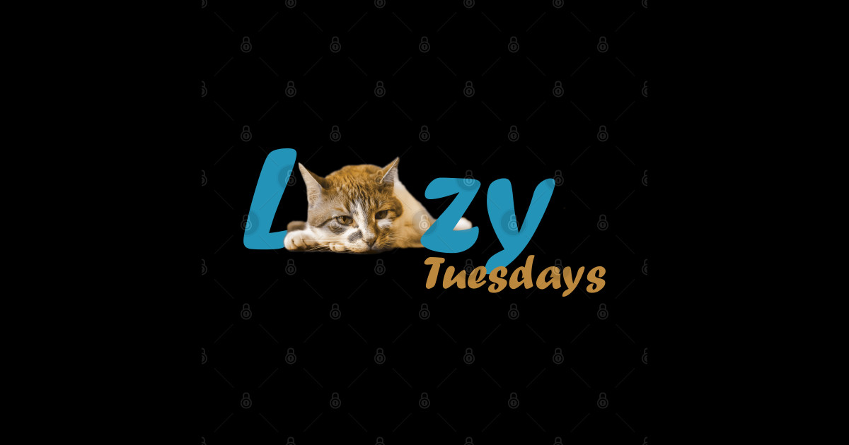 Lazy Cat Tuesdays - Lazy Tuesdays - Sticker | TeePublic