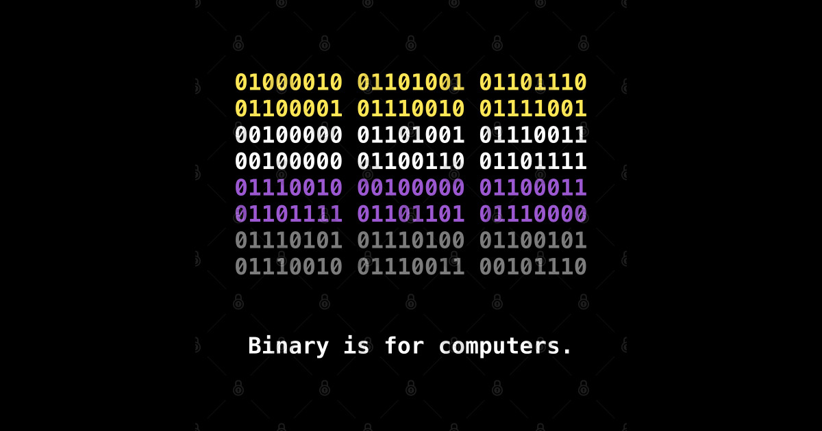 Binary is for Computers Nonbinary Pride Flag - Nonbinary - Sticker | TeePublic