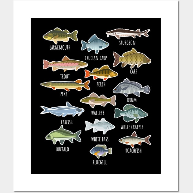 Types Of Freshwater Fish Species Fishing - Species Fishing - Posters ...