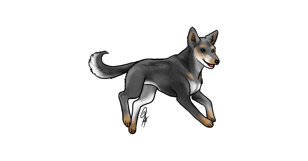 Dog - Carolina Dog - Tri-Color - Dingo - T-Shirt | TeePublic