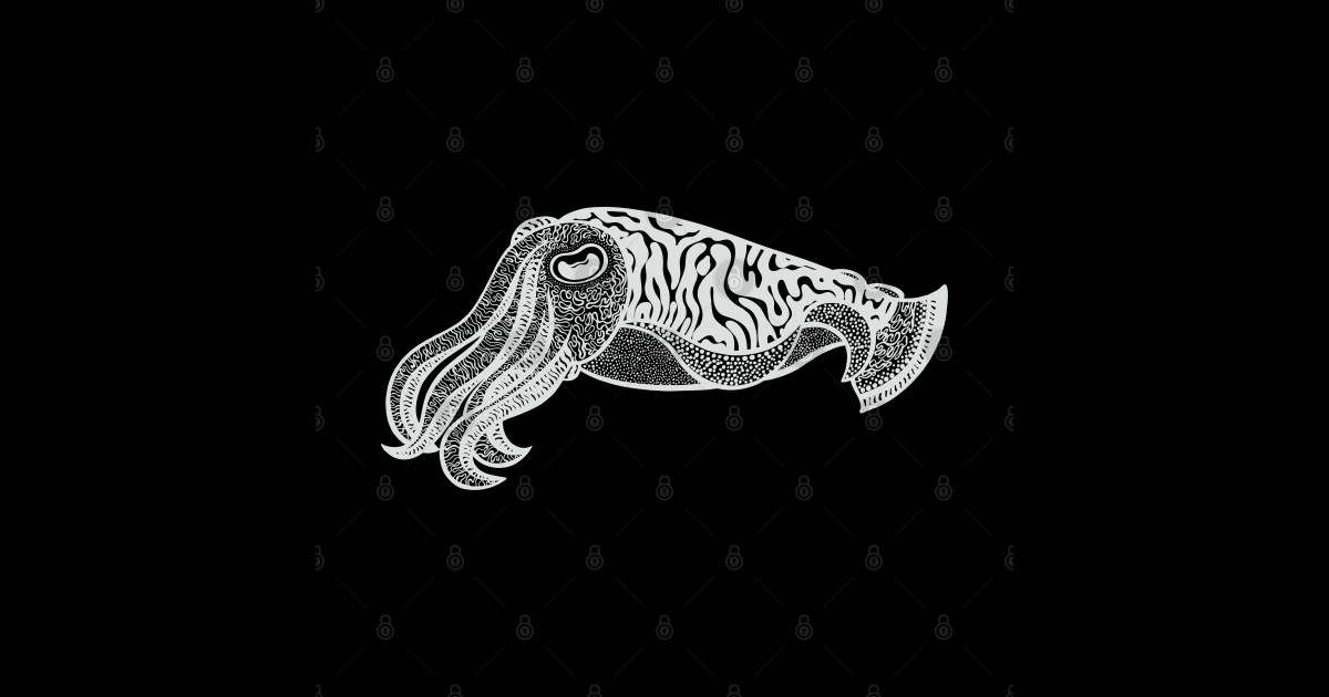 Cuttlefish - hand drawn marine life design - Cuttlefish - Sticker ...