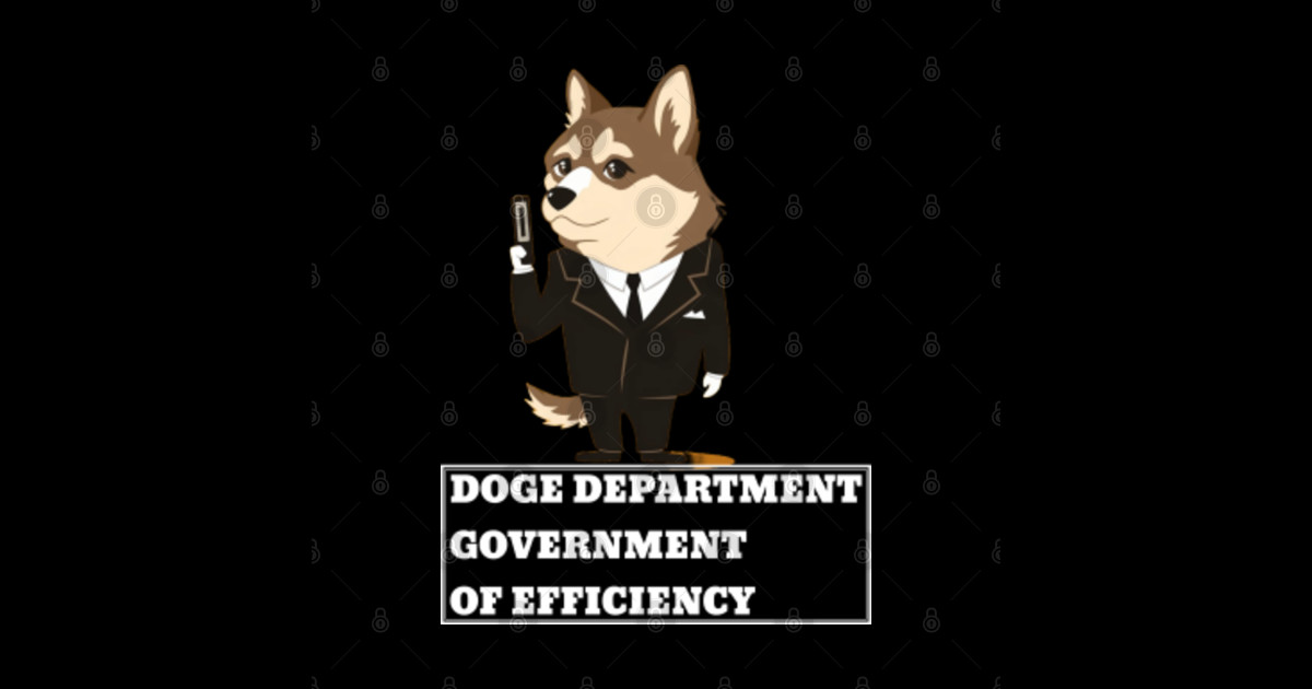 Doge Department Of Govt Efficiency - Doge Department Of Govt Efficiency ...
