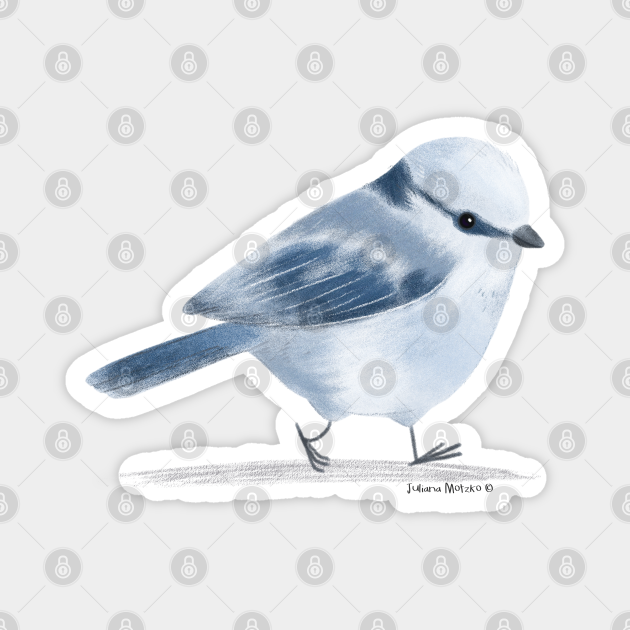 Azure Tit Bird - Tit Bird - Magnet | TeePublic