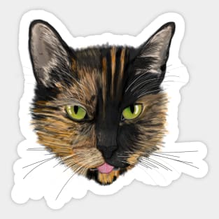 tortoise shell cartoon cat