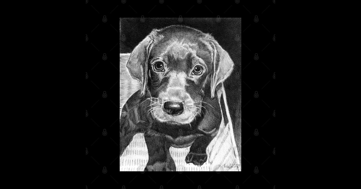 NITRO - Dog - Posters and Art Prints | TeePublic