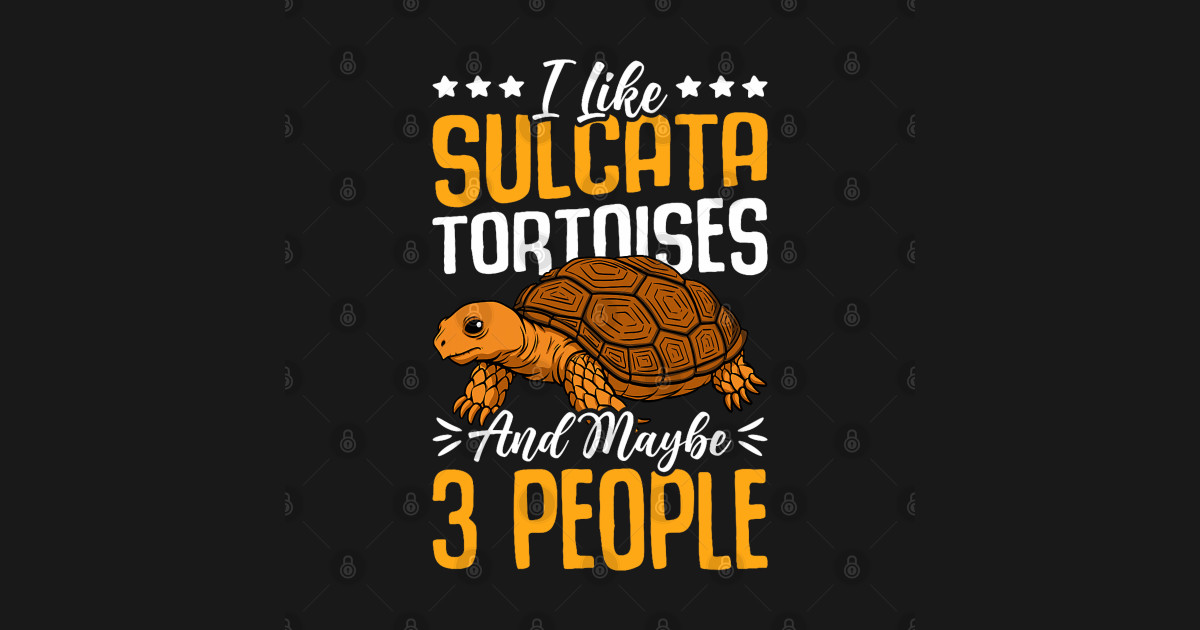 Turtle Pet Reptile Species I Like Sulcata Tortoises and Maybe 3 People ...