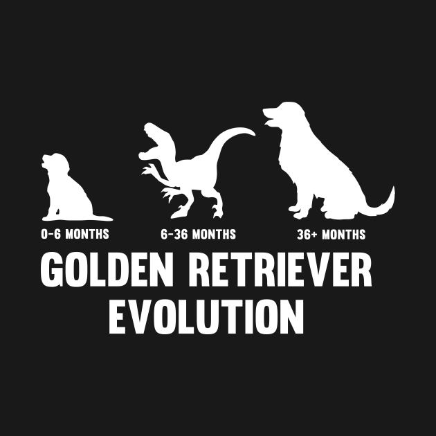 Golden Retriever Evolution for a Golden Retriever Owner - Golden ...