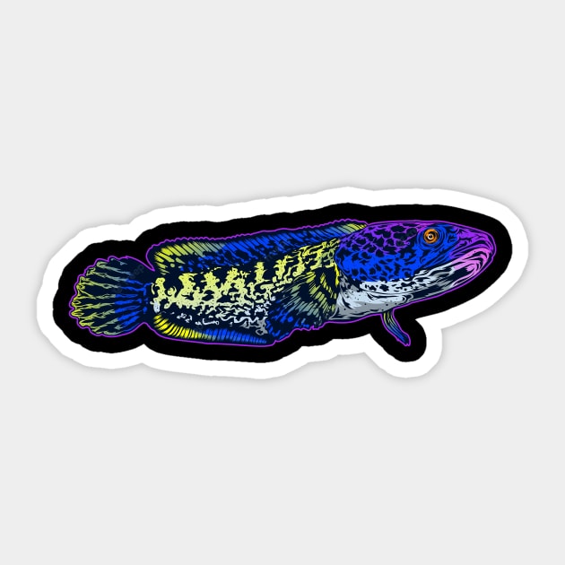 CHANNA FISH UNGU BIRU - Channa Fish - Sticker | TeePublic