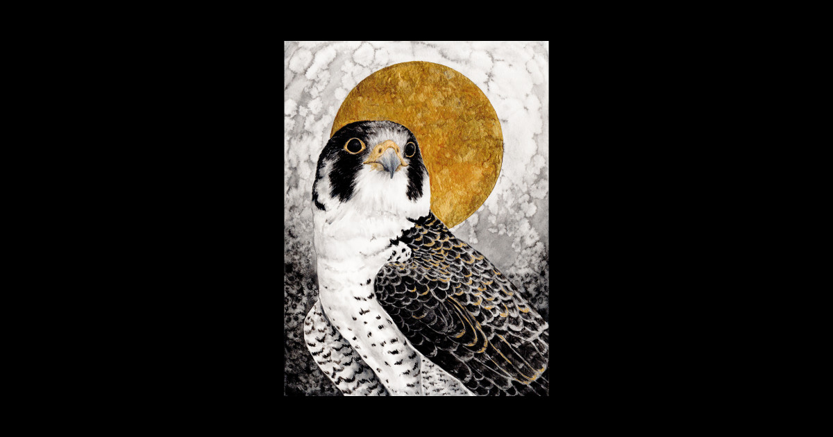 Peregrine falcon Watercolor at night sky - Peregrine Falcon - Posters ...