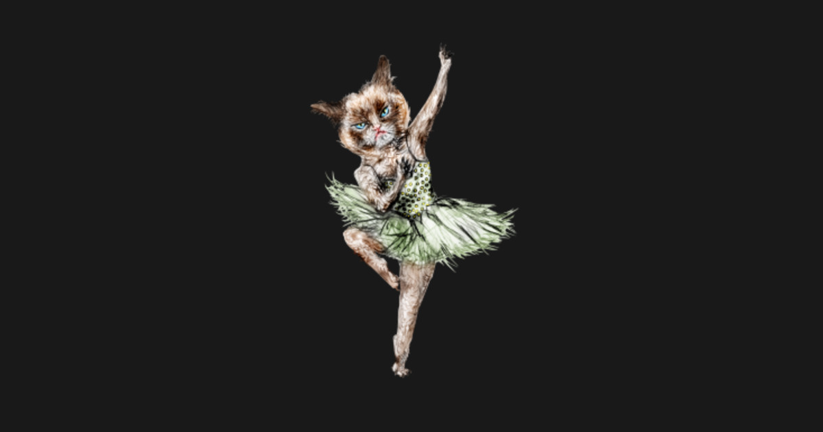 Ballerina Cat Cat T Shirt Teepublic