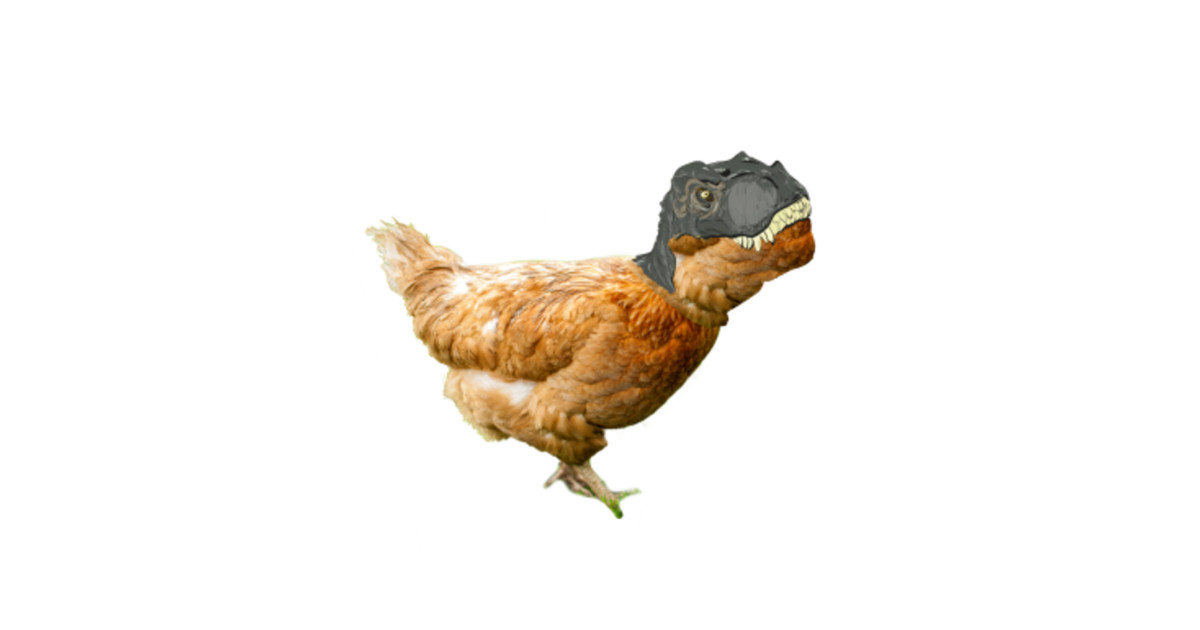 Chickenosaurus Rex - Dinosaur - T-Shirt | TeePublic