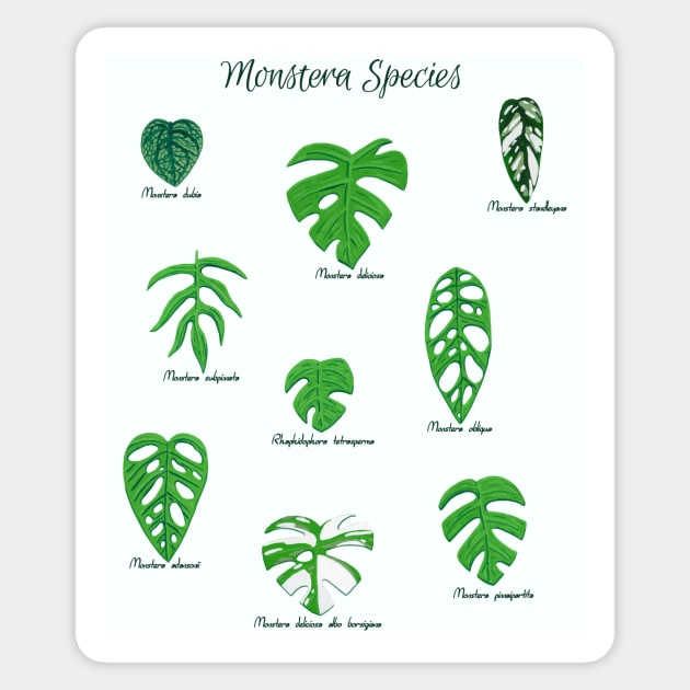 Monstera Species with Labels - Monstera - Sticker | TeePublic