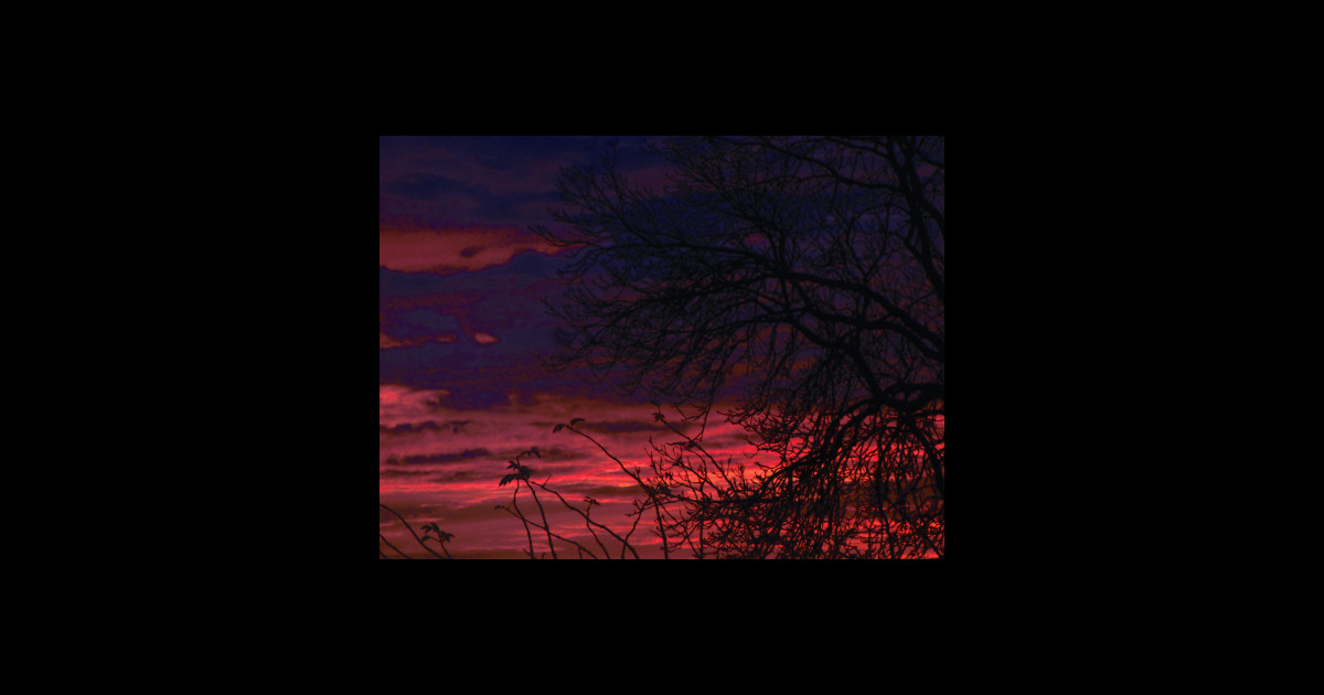 Velvet Dawn - Rachel Tyrrell - Sticker | TeePublic