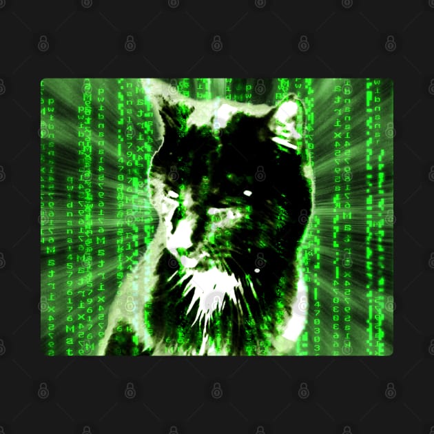 Matrix cat - Black Cat - T-Shirt | TeePublic