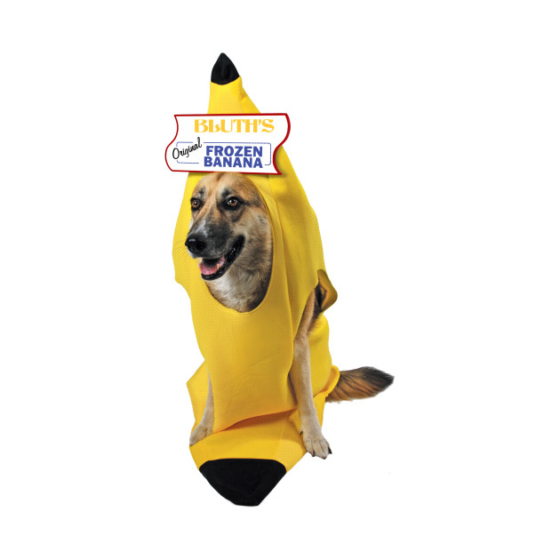 MR. MANAGER DOG - Arrested Development - T-Shirt | TeePublic