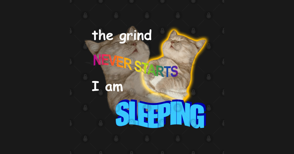 The Grind Never Starts I Am Sleeping Meme - Tired - T-Shirt | TeePublic