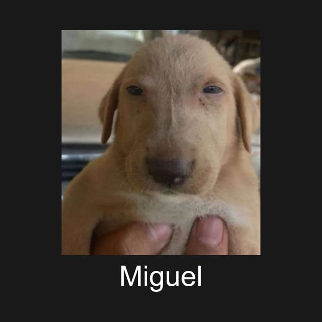 Miguel meme shitpost unisex - Miguel Meme Shitpost - T-Shirt | TeePublic