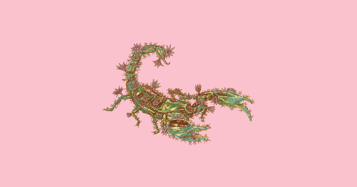 Scorpion Cactus - Scorpion - T-Shirt | TeePublic