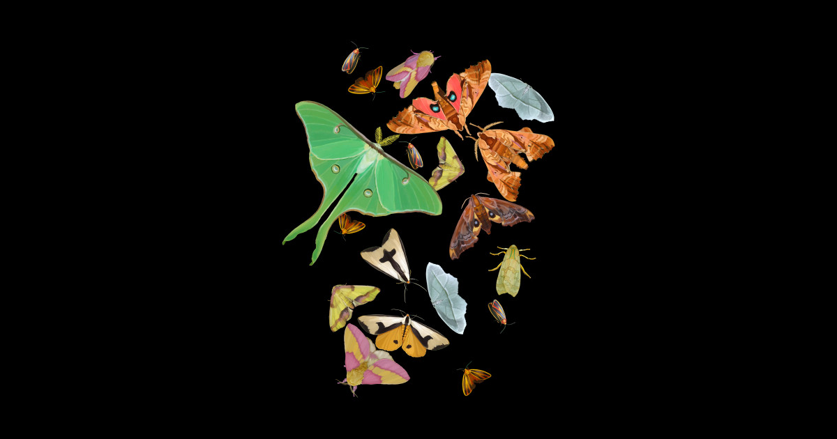 Moth Party! - Moths - Sticker | TeePublic