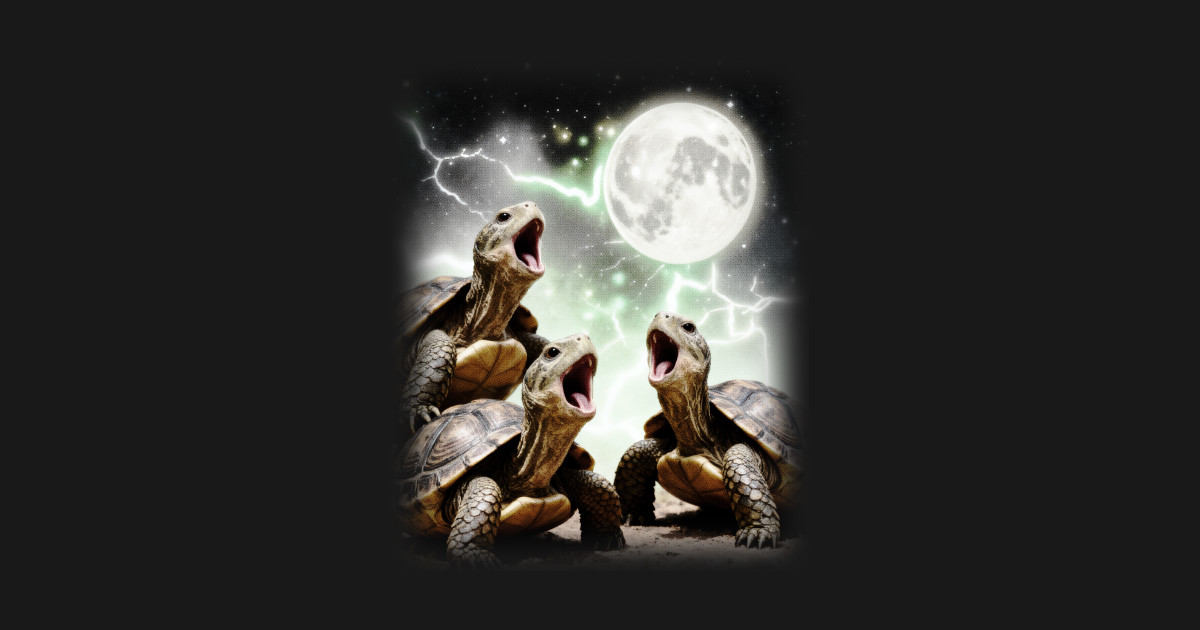 Three Tortoises Howl at Moon Wildlife Mountain Turtle Meme - Tortoise ...