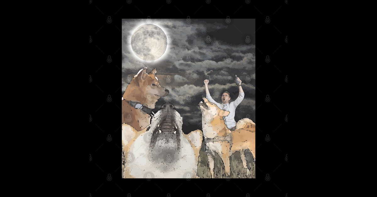 Three doge moon - When moon? BOX graphic. three wolf moon parody. 3 doge howling at the moon ...