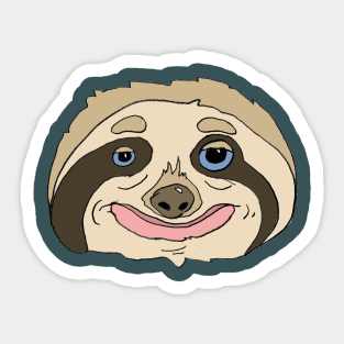 sloth funny face