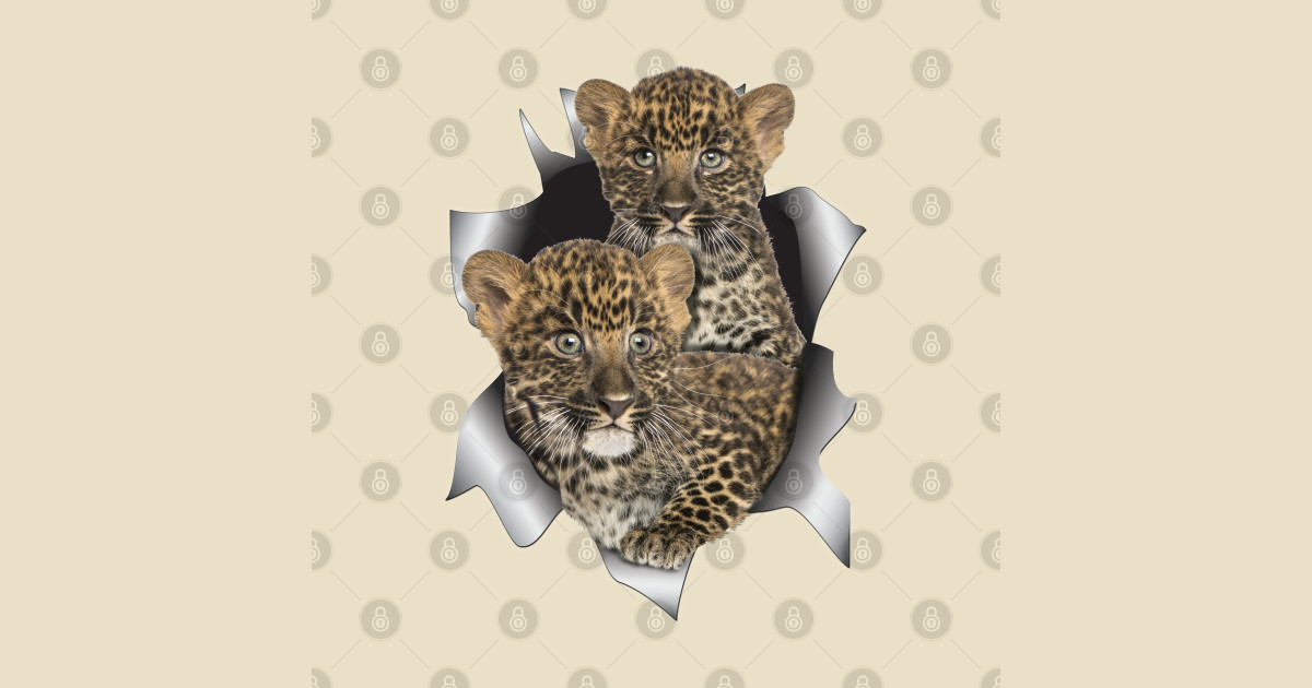 Leopards cubs popping out of a shirt - Africa Safari Wildlife Art - T ...