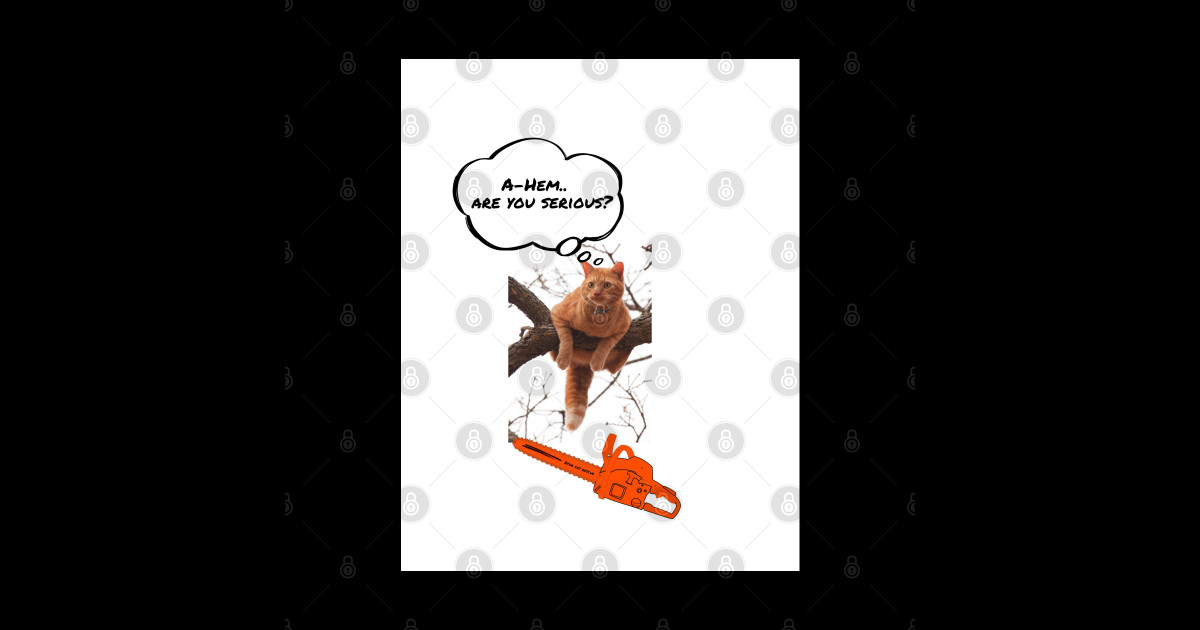 Are You Serious? - Serious Cat - Sticker | TeePublic