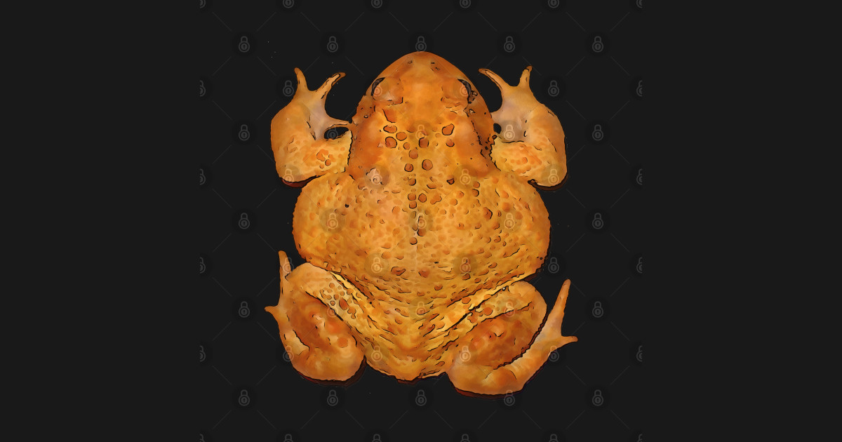 Anatomy of A Toad Black Outline Art - Herpetology Gift - T-Shirt ...