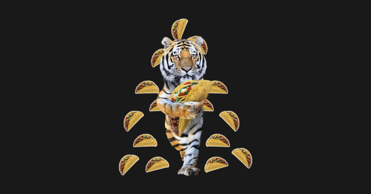 Tiger Tigers Eating Taco Tacos, Funny Cute - Tiger Tigers Eating Taco ...