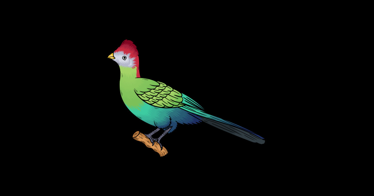 Red-crested turaco bird cartoon illustration - Red Crested Turaco Bird ...