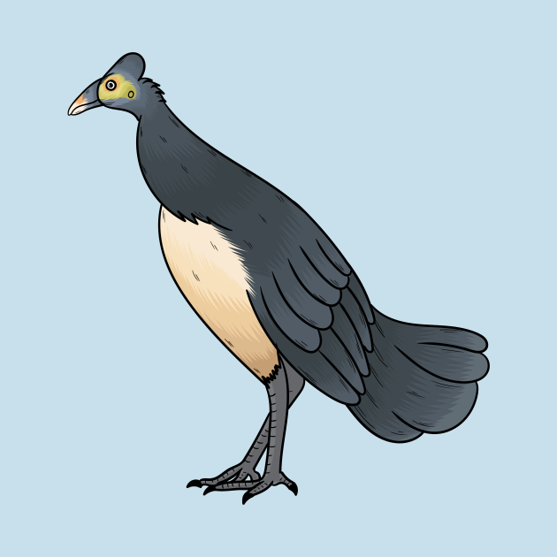 Maleo bird cartoon illustration - Maleo Bird Cartoon Illustration ...